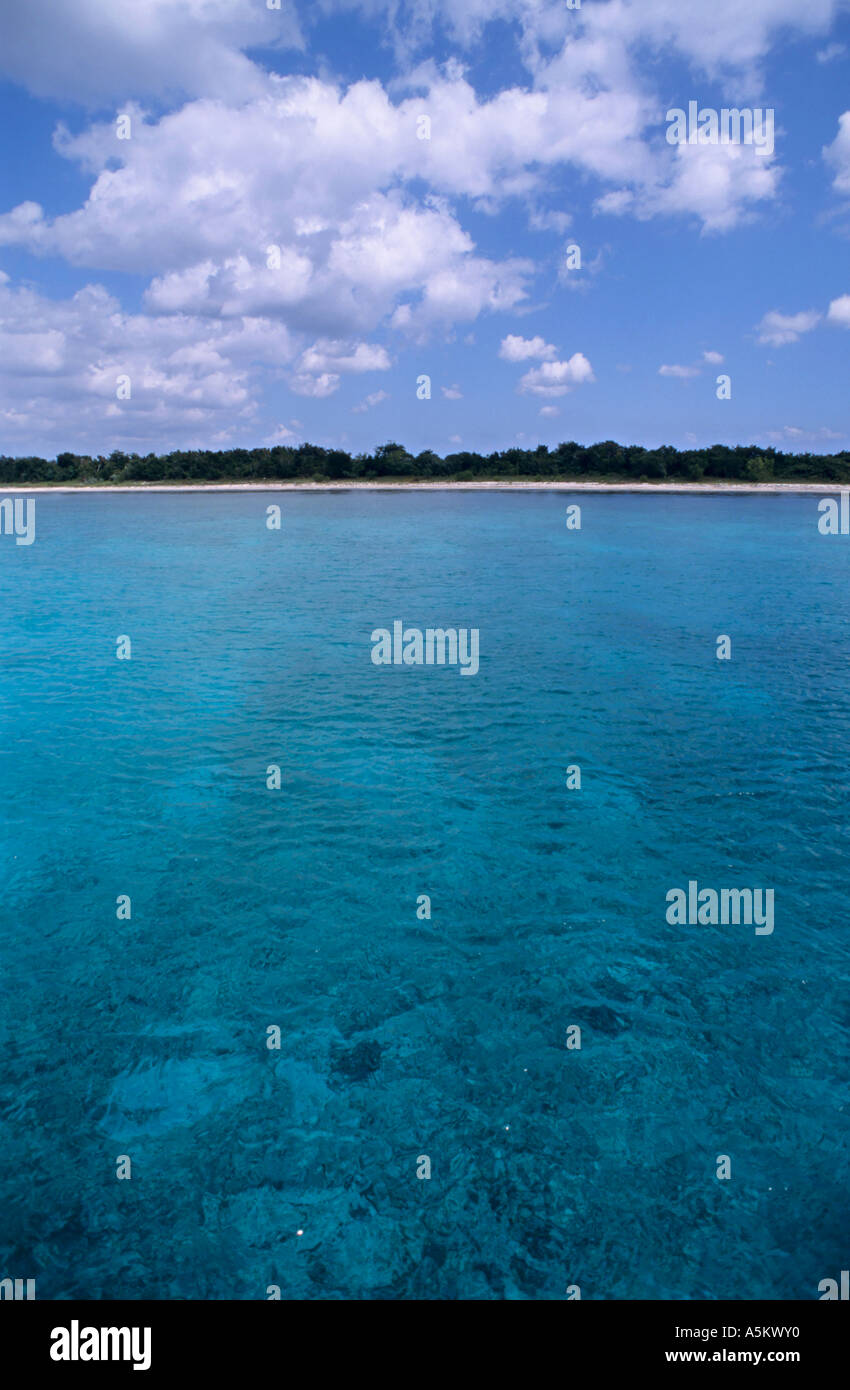 Mexico yucatan state cozumel island transparent green water from a ...