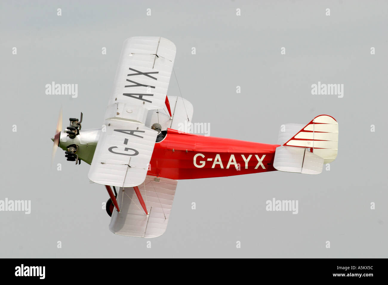 Martlet hi-res stock photography and images - Alamy