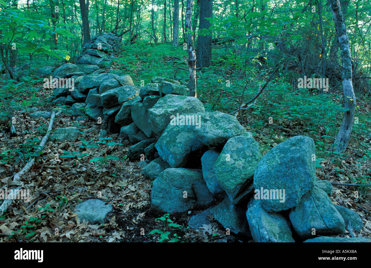 Greenwich, ct “the boulders hi-res stock photography and images - Alamy