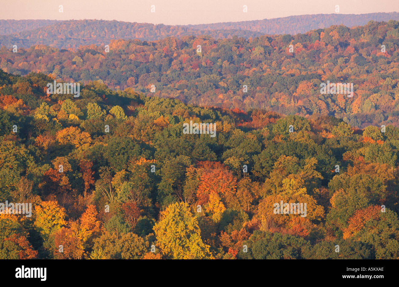 Tpl background hi-res stock photography and images - Alamy