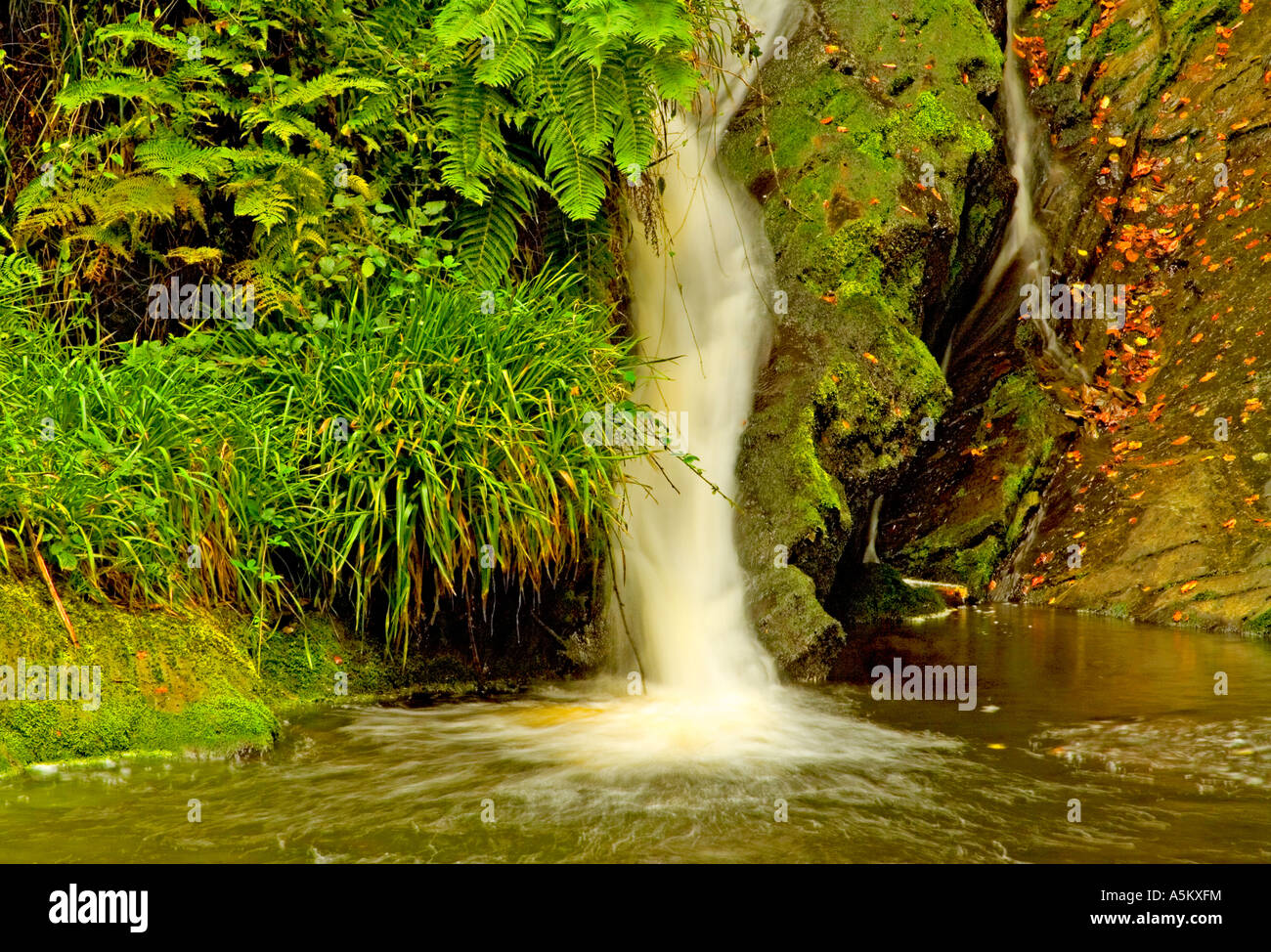 Waterfall in Haford Estate, mid-Wales, near Aberystwyth Stock Photo - Alamy