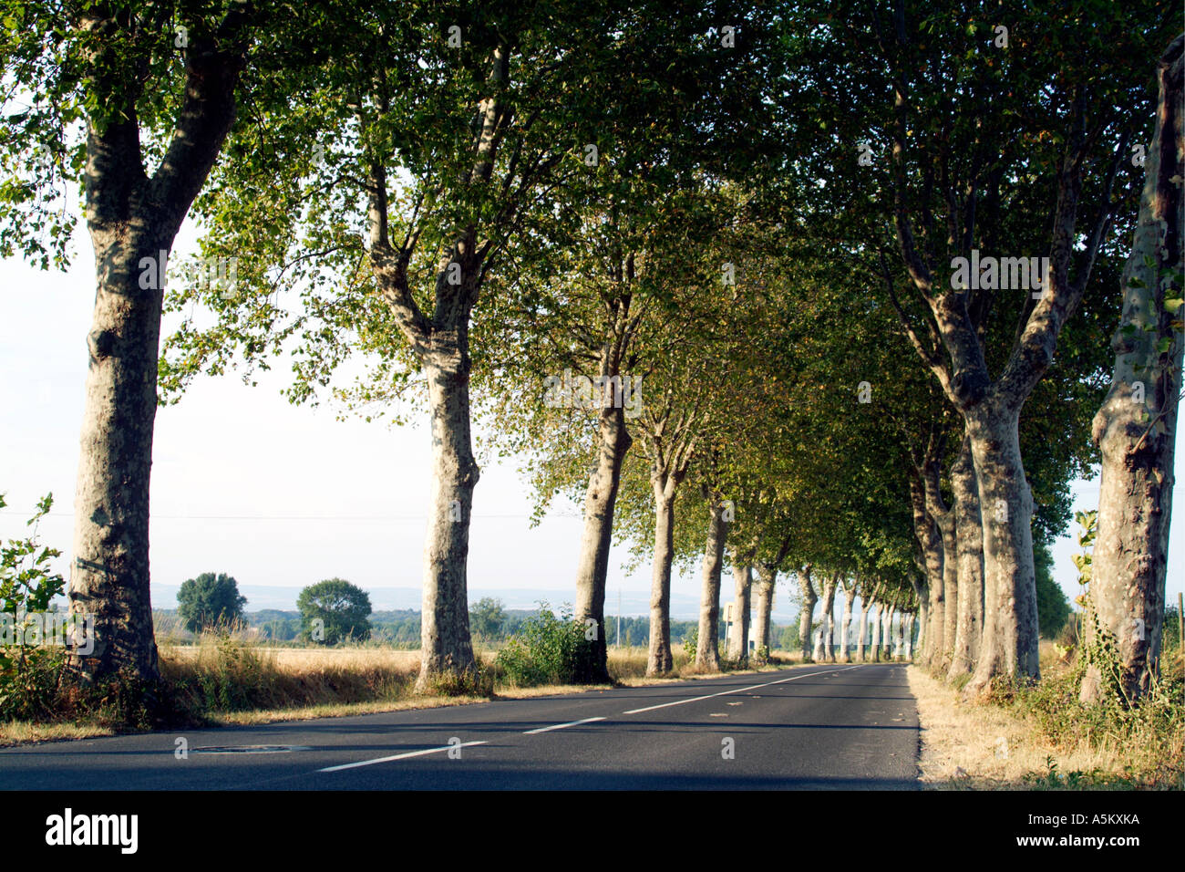 France bram hi-res stock photography and images - Alamy
