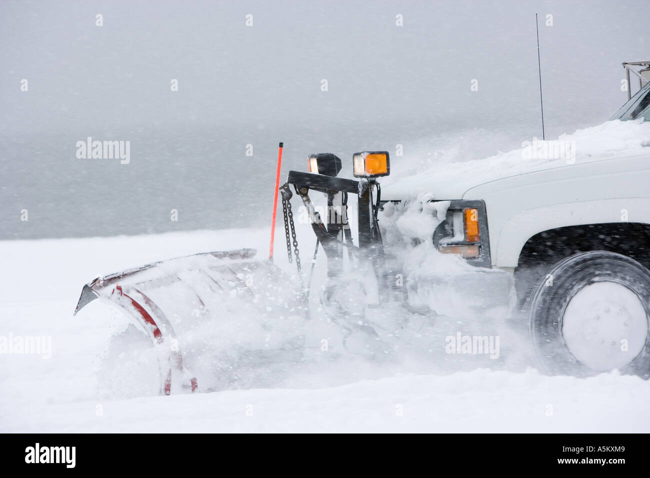 Dig through the snow hi-res stock photography and images - Alamy