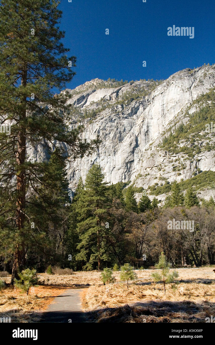 Yosimite national park hi-res stock photography and images - Alamy