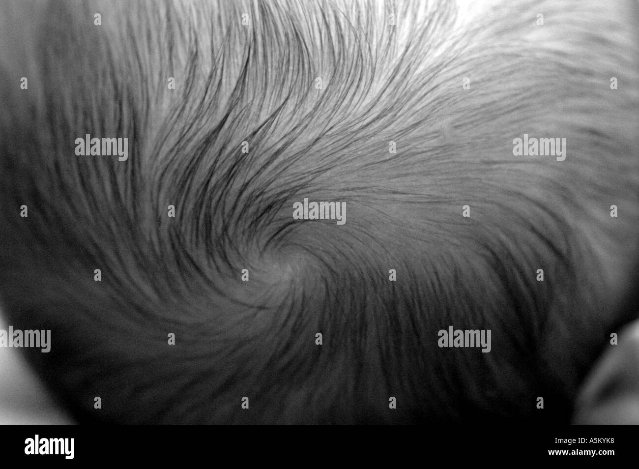 Baby hair swirl hi-res stock photography and images - Alamy