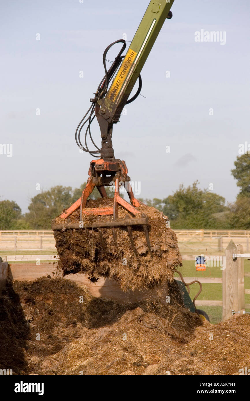 Removing horse manure from stable yard Stock Photo - Alamy