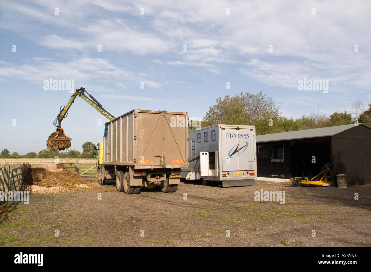removing horse manure from stable yard Stock Photo - Alamy