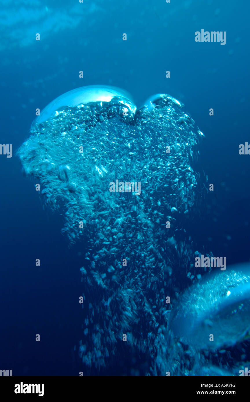 France marseille scuba diver bubbles in the blue water Stock Photo - Alamy
