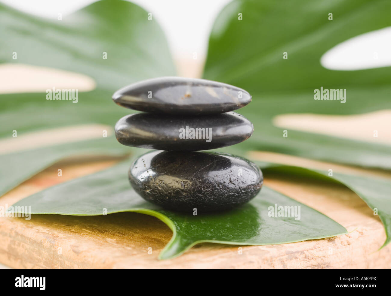 Close up of stack of stones on leaf Stock Photo - Alamy