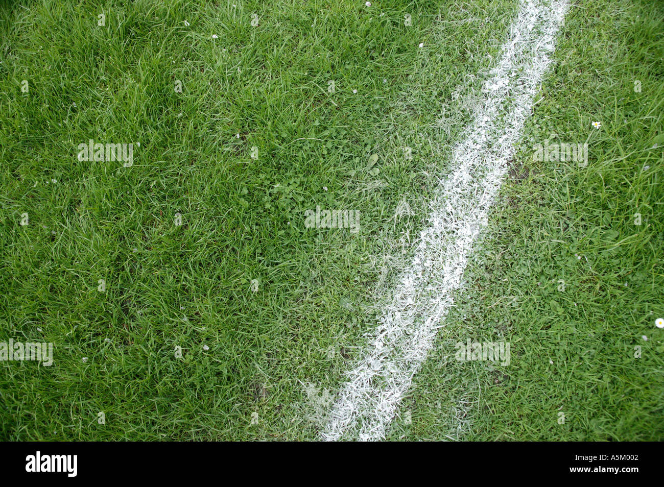 Cricket pitch line on grass Stock Photo - Alamy