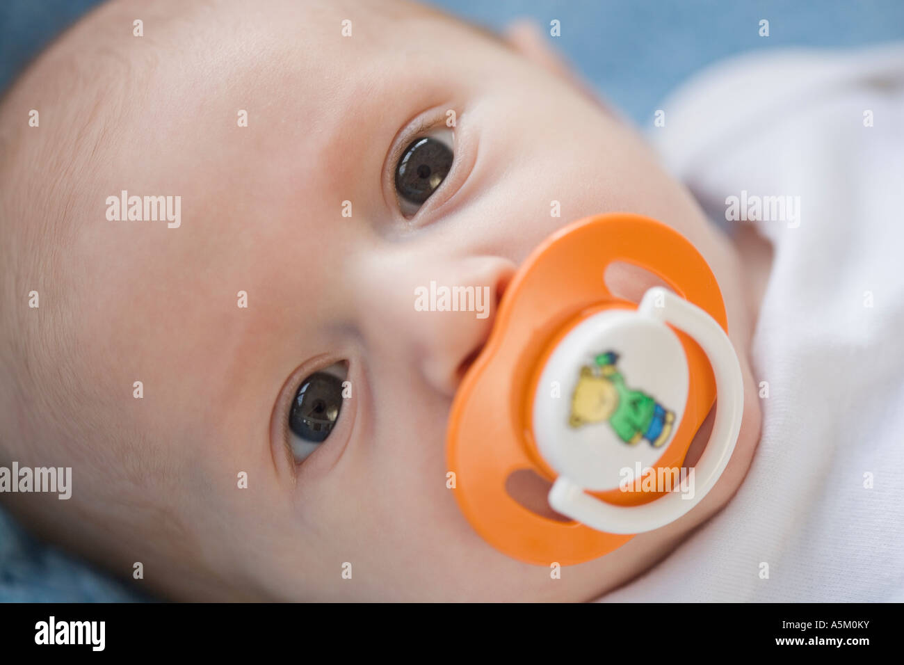 Portrait baby boy sucking pacifier hi-res stock photography and images ...