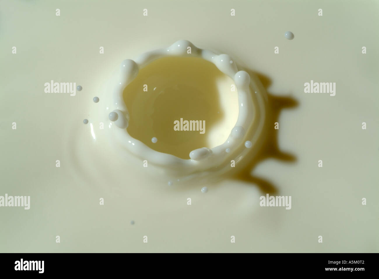 Drop of milk Stock Photo - Alamy