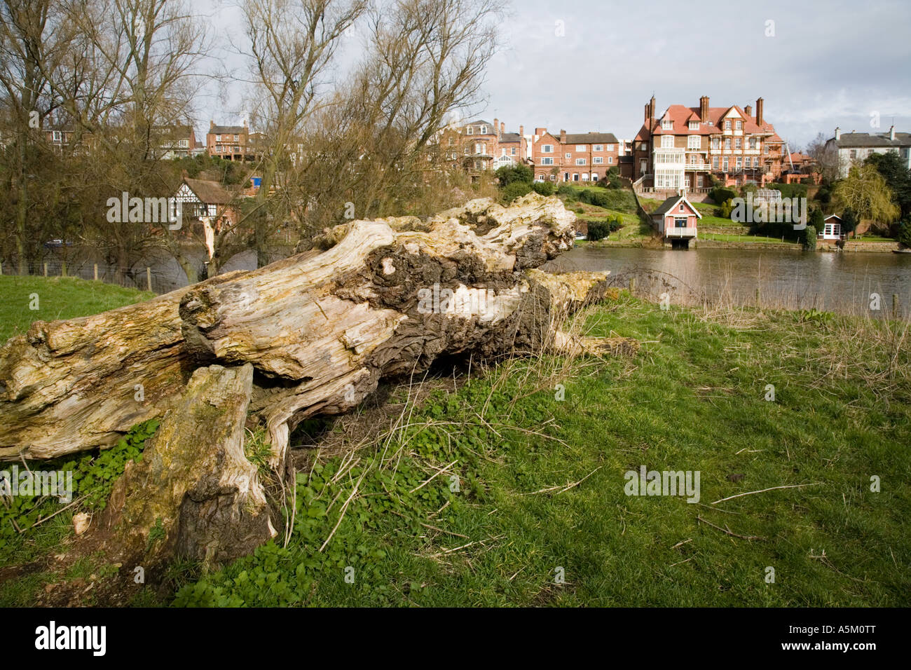 A view across the river Dee in Chester as photographed from the Meadows ...