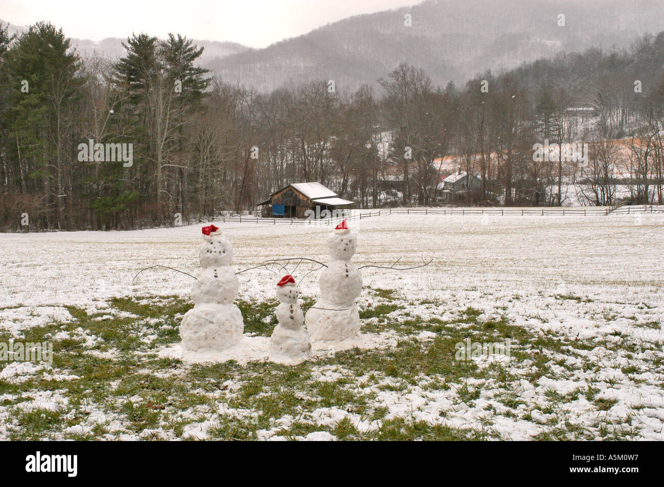 Three snowmen are arranged as a family in the middle of a pasture in ...