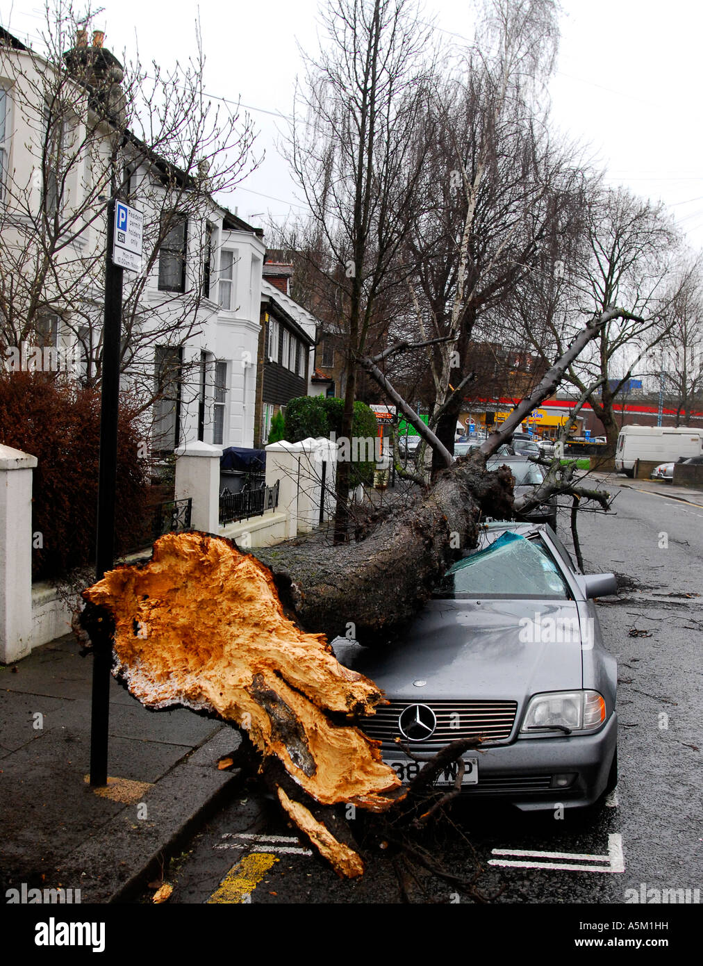 Car crashed into tree hi-res stock photography and images - Alamy