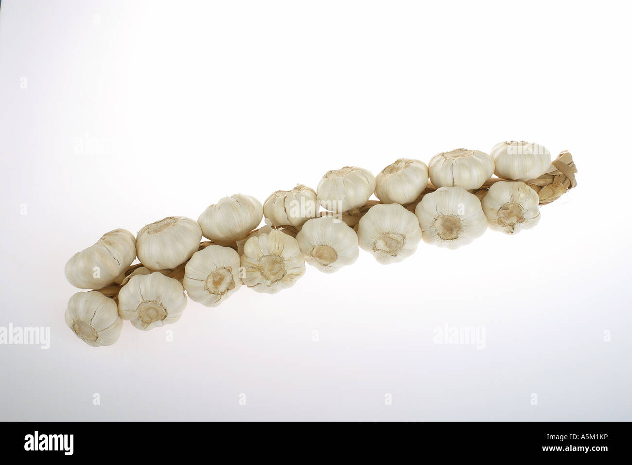 a rope of garlic on a white background Stock Photo - Alamy