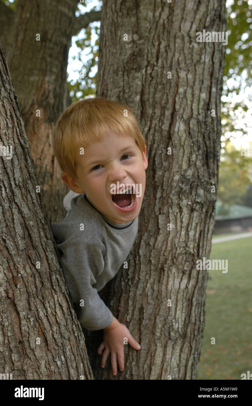 Playfully climbing hi-res stock photography and images - Alamy