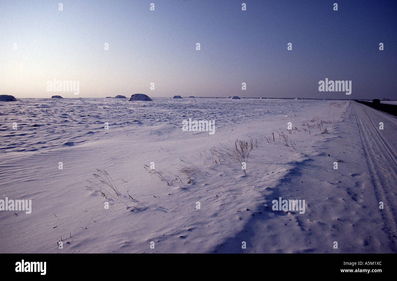 Siberian countryside, Siberia, Russia Stock Photo - Alamy
