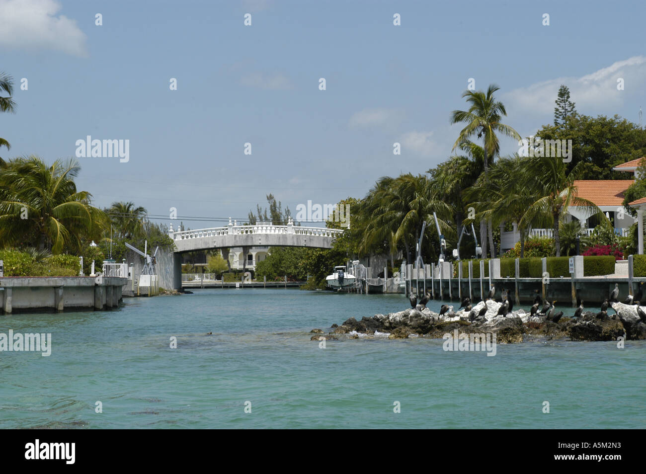 A view of a canal and the houses that line it in Duck Key an island in ...