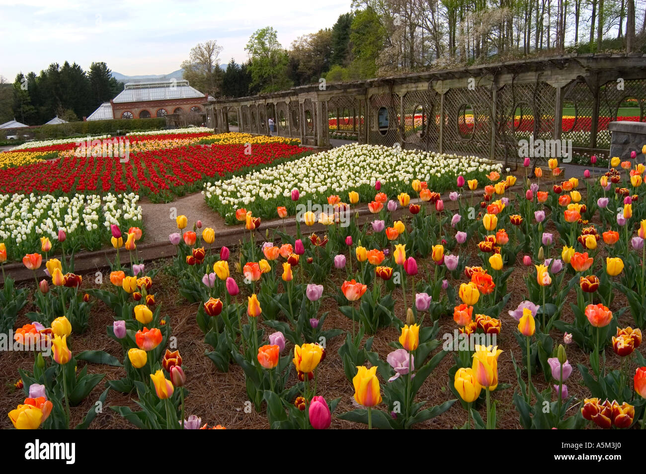 Spring biltmore estate hi-res stock photography and images - Alamy