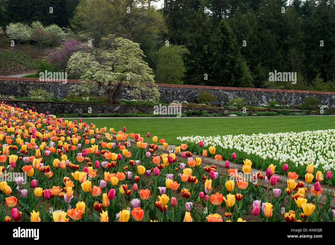 A view of the Biltmore Estate Gardens from a path in the springtime ...