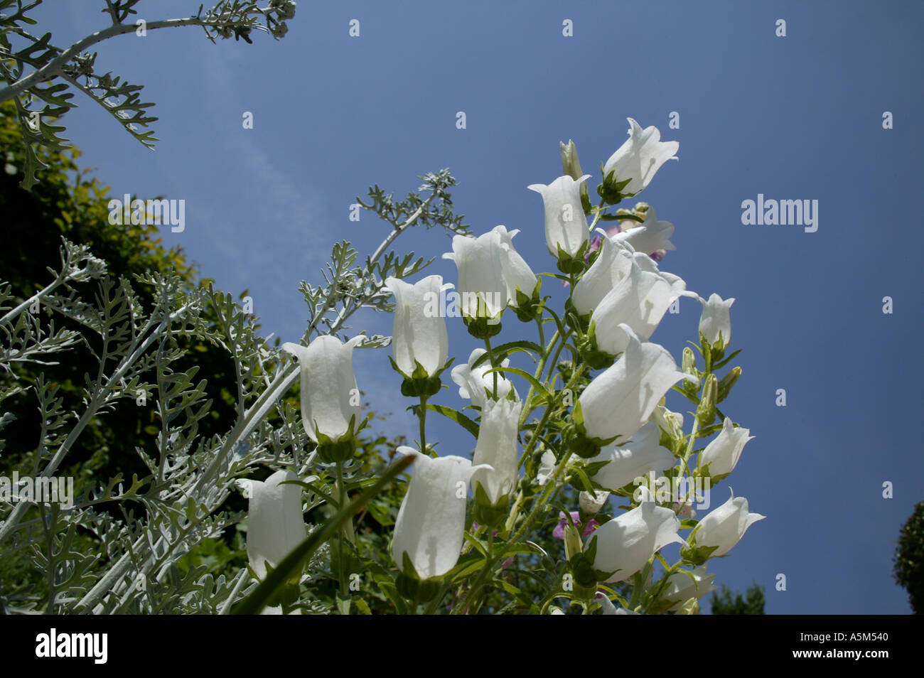 Paris garden 2 Stock Photo - Alamy