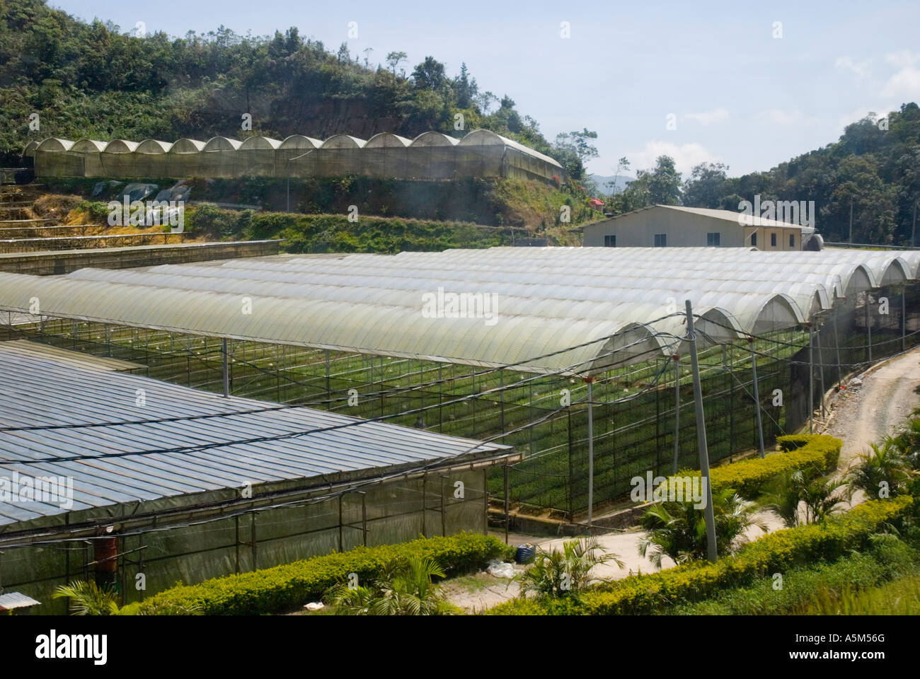 Large scale production hi-res stock photography and images - Alamy