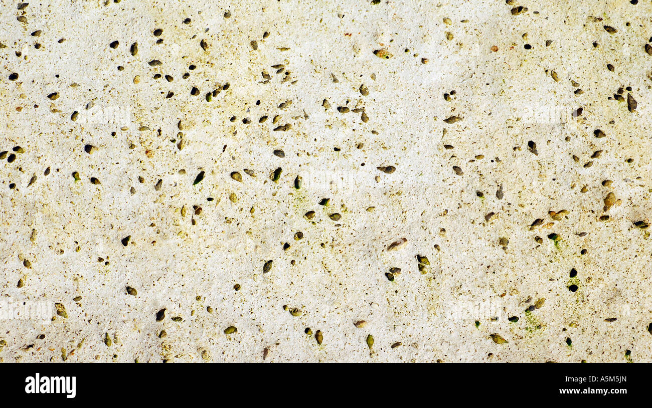 Whitecliff Bay Stone, Lower Greensand, Isle of Wight, England, UK, GB ...