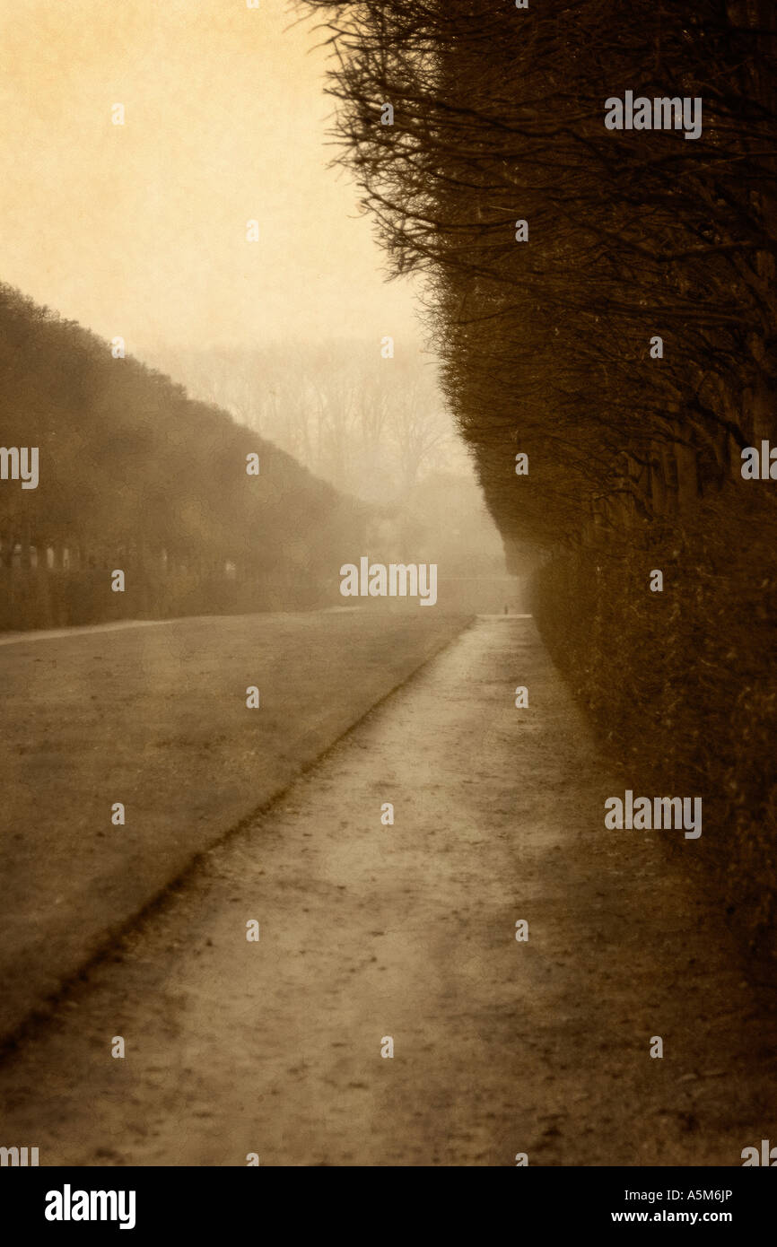 Lovely Versailles, France garden path captured in a vintage sepia ...