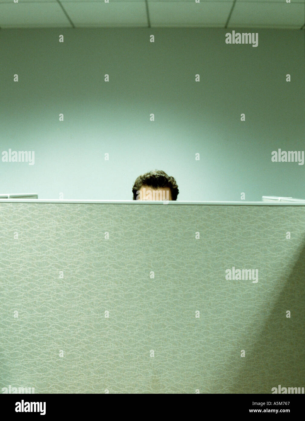 corporate office worker slaves away partially hidden in small cubicle ...