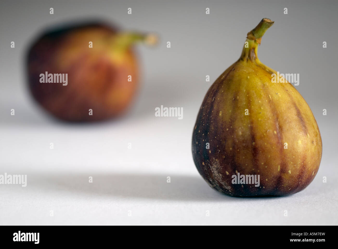 Two figs on a white and grey background Stock Photo - Alamy