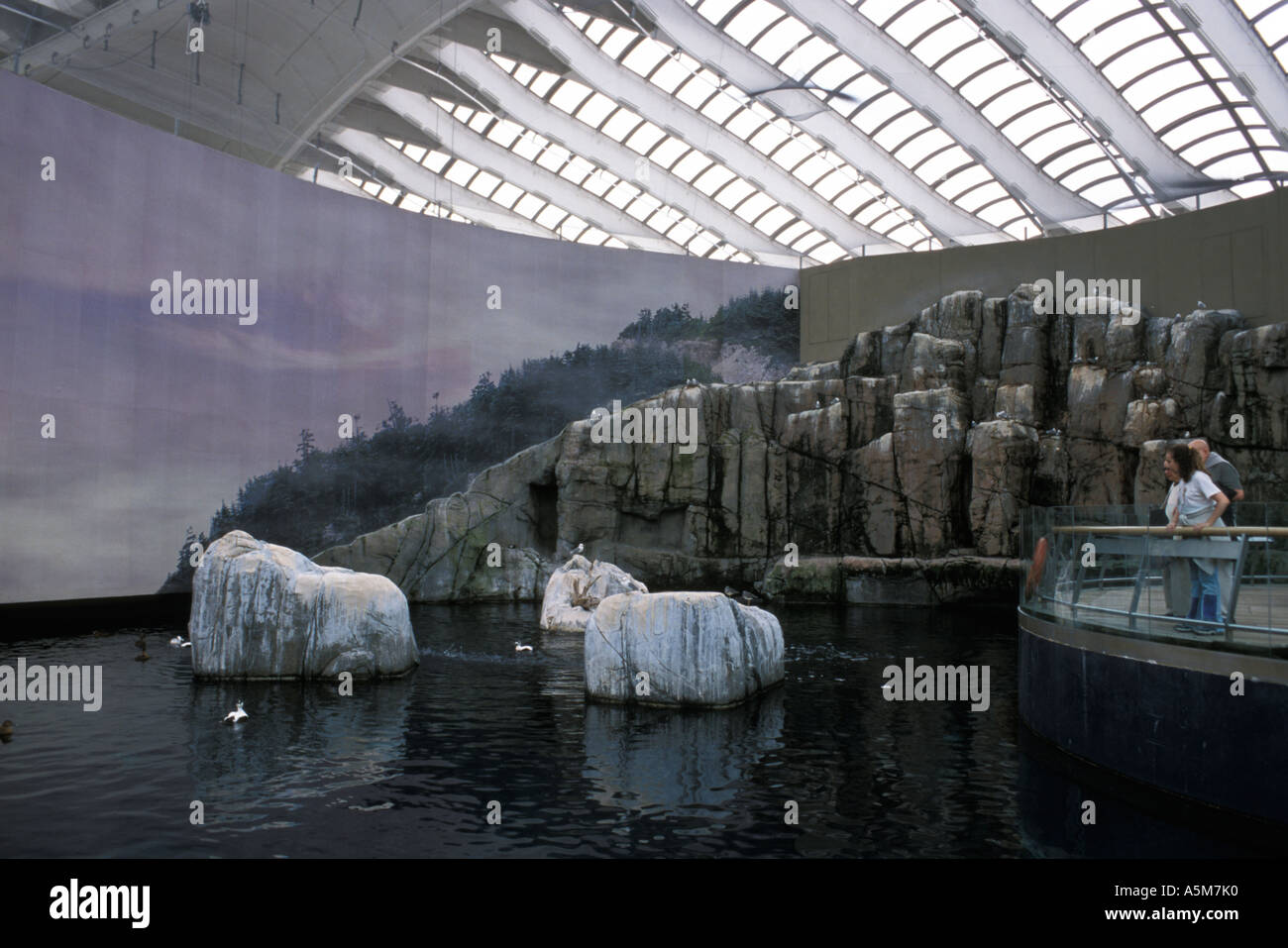 The artic display in the Biodome in Montreal Quebec has a pond with ...