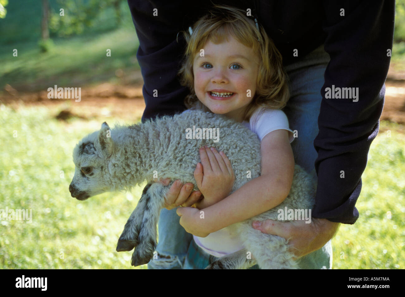 Child Hug Lamb High Resolution Stock Photography and Images - Alamy