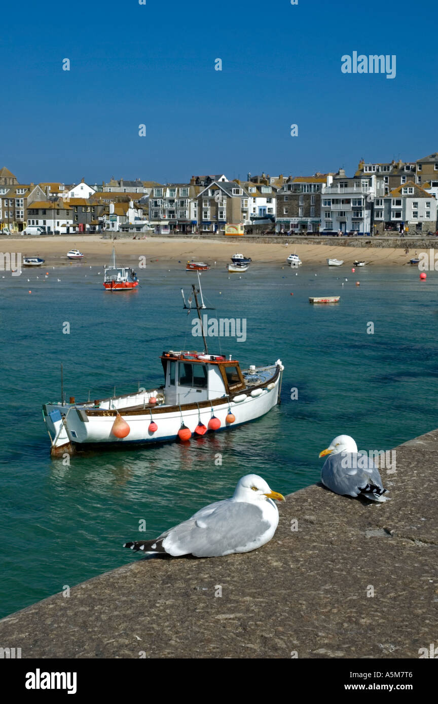 harbourside at st.ives in cornwall, uk Stock Photo - Alamy