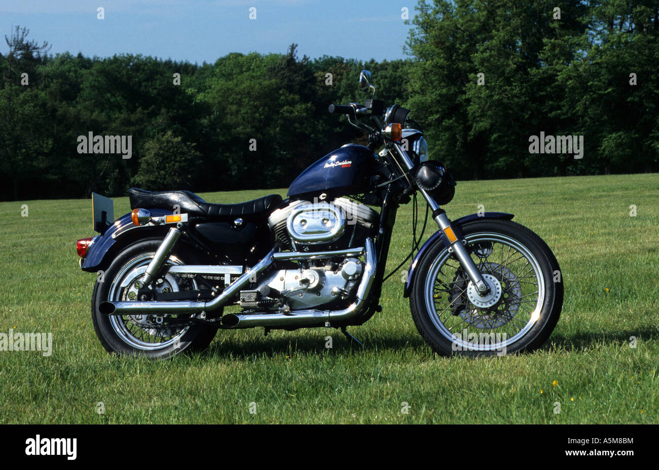 Harley Davidson 883 Stock Photo - Alamy