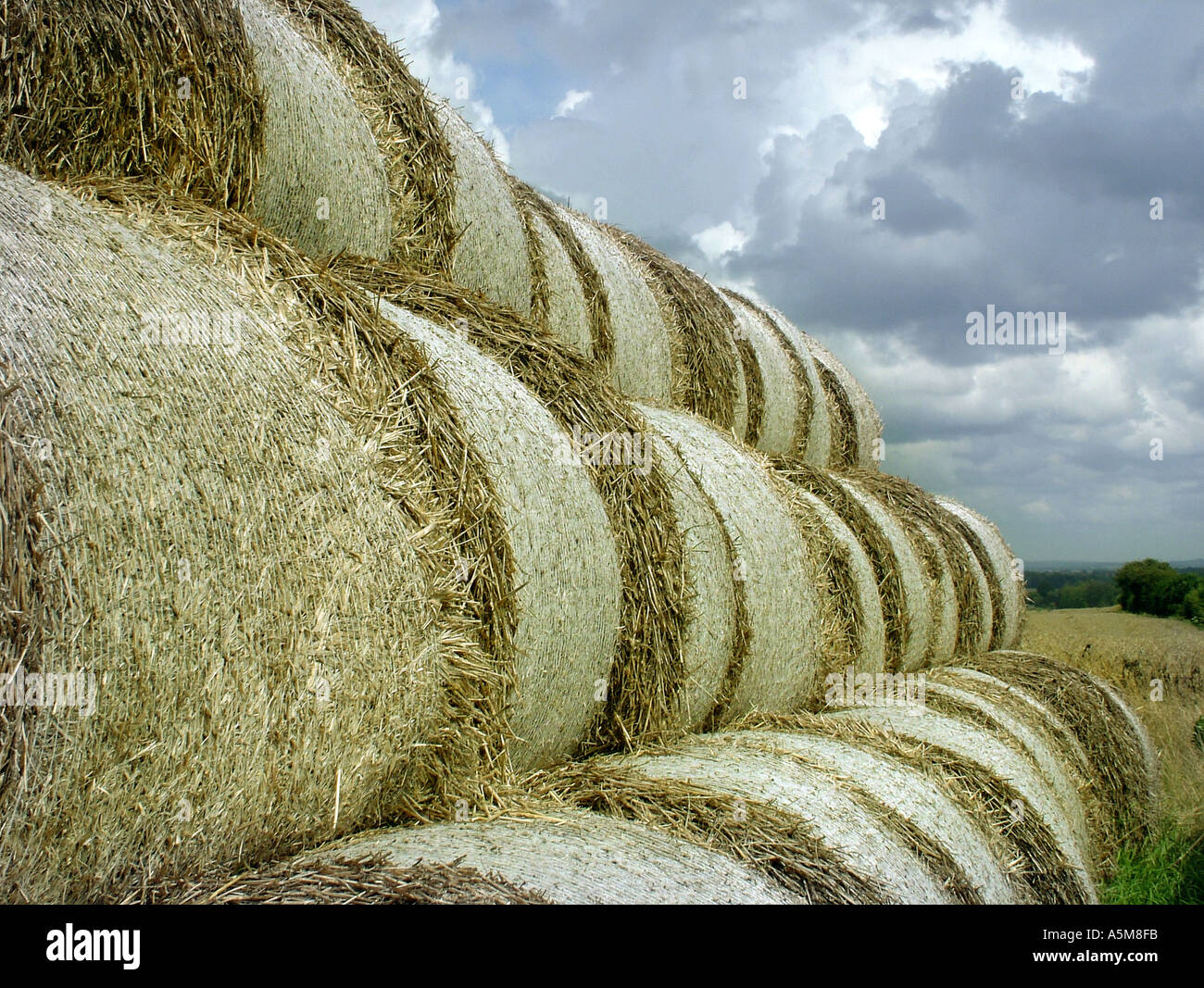 Rhythmically hi-res stock photography and images - Alamy