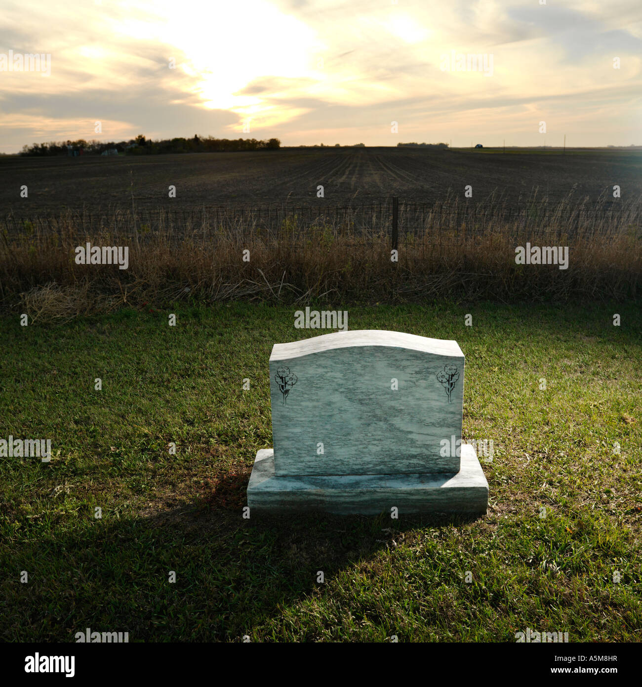 Headstone marking grave in rural countryside at sunset Stock Photo - Alamy