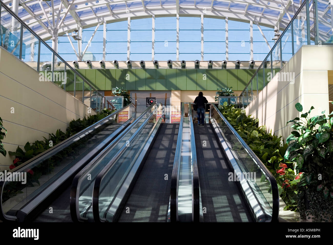 Electronic staircase in a Mall Stock Photo - Alamy