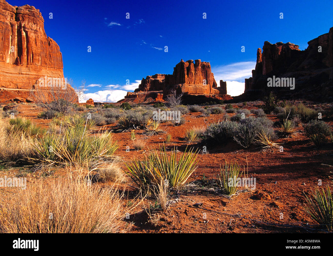 Southeastern utah landscapes hi-res stock photography and images - Alamy