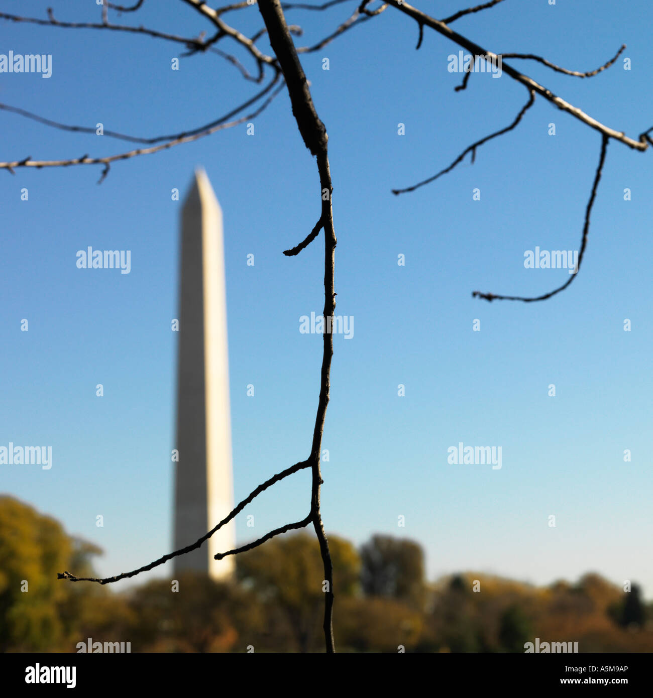 Washington Monument in Washington DC USA Stock Photo - Alamy