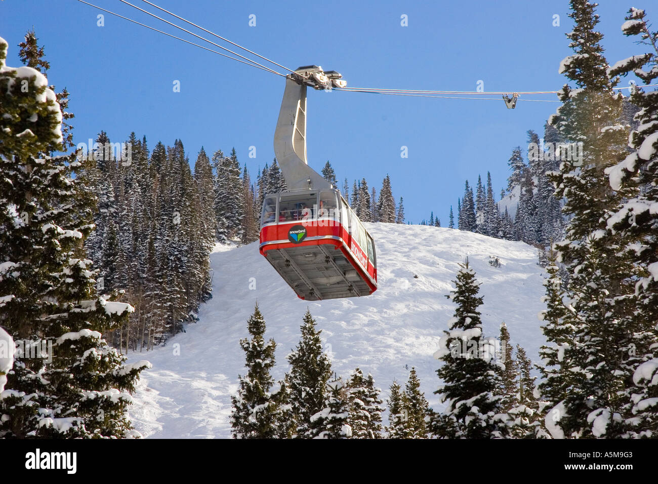 Aerial Tram at Snowbird Ski Resort in Little Cottonwood Canyon Wasatch ...