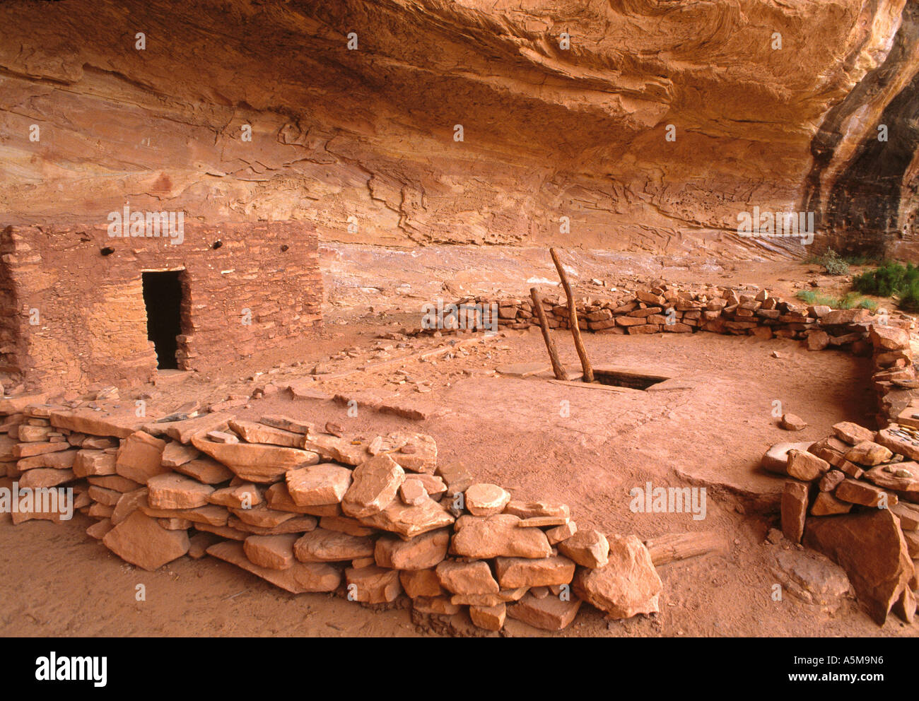 Perfect Kiva an underground ceremonial structure in Bullet Canyon Stock ...