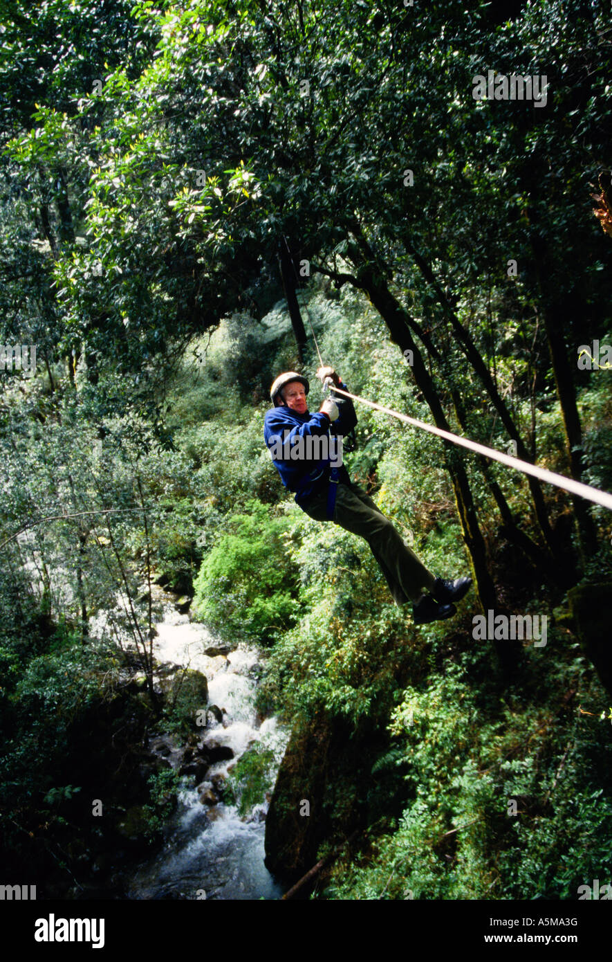 Canopy tours’ forest zipline hi-res stock photography and images - Alamy