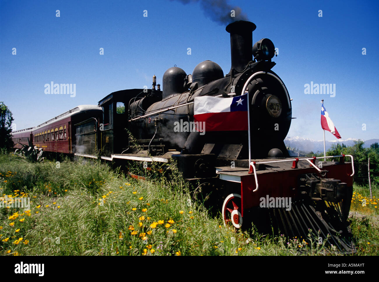 Tren del vino hi-res stock photography and images - Alamy