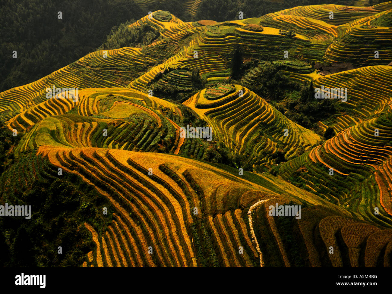 Longsheng hi-res stock photography and images - Alamy