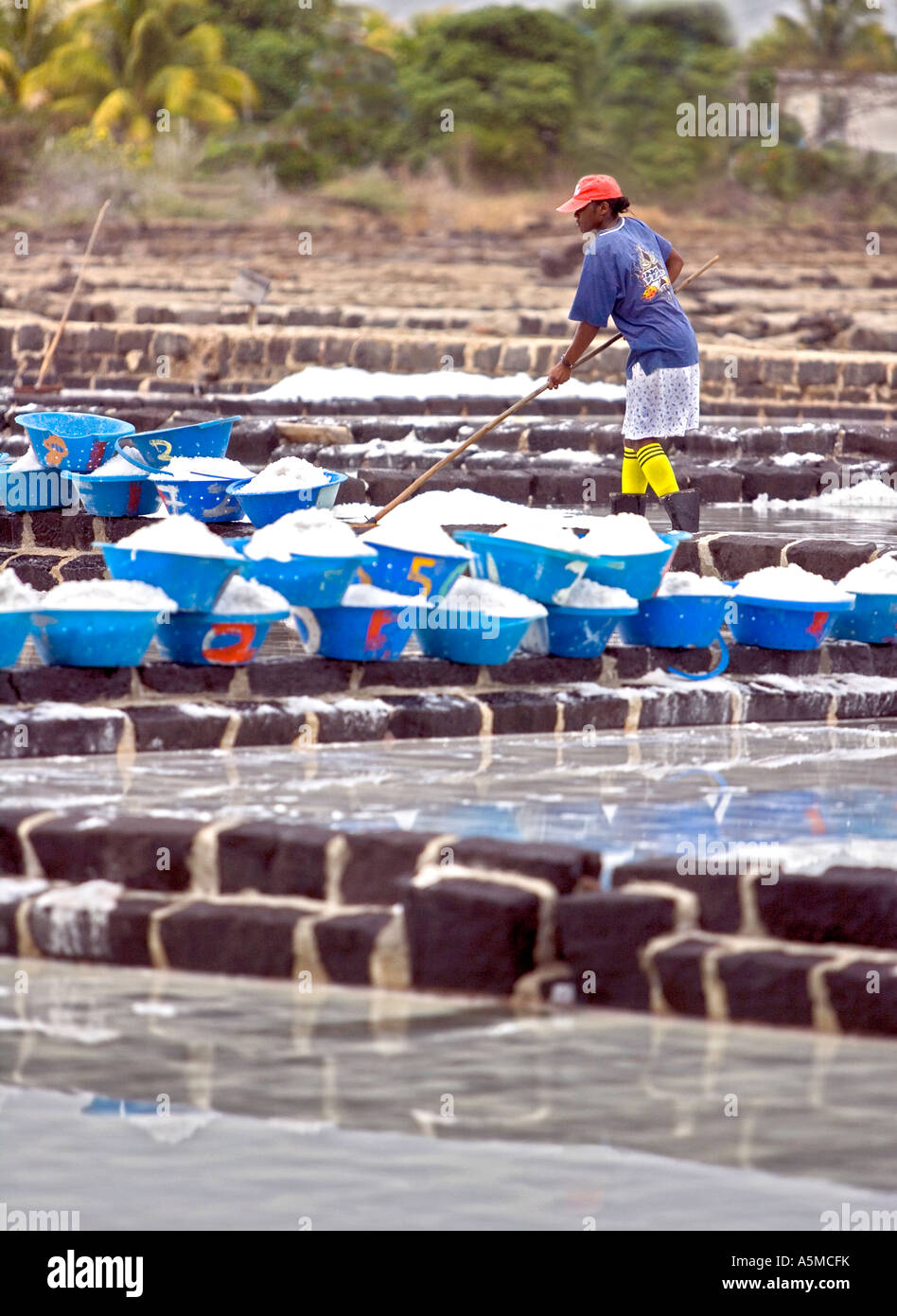 Lady loading salt into containers in the rain - Mauritius Stock Photo ...