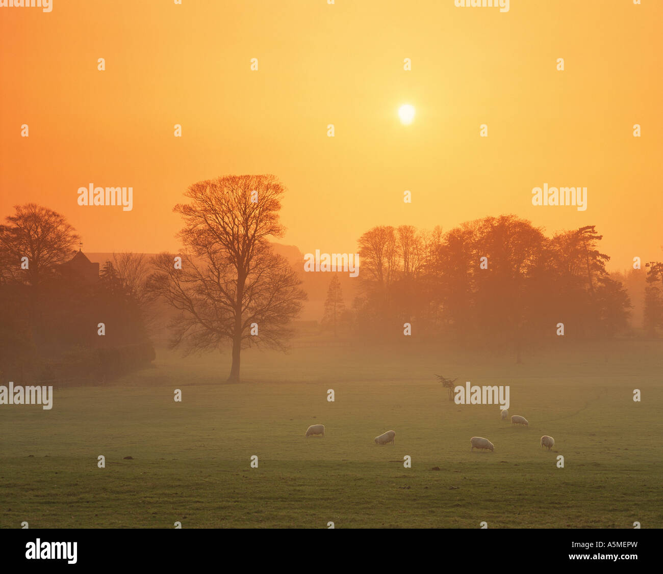 Bishopsbourne kent england hi-res stock photography and images - Alamy