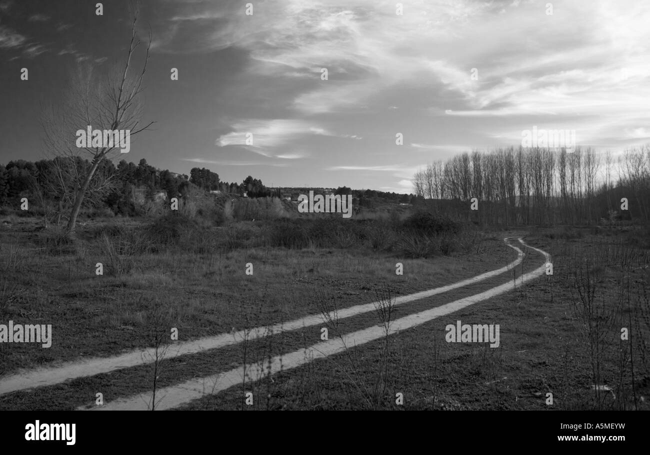 Black and white photo of car tracks leading into the distance Stock ...