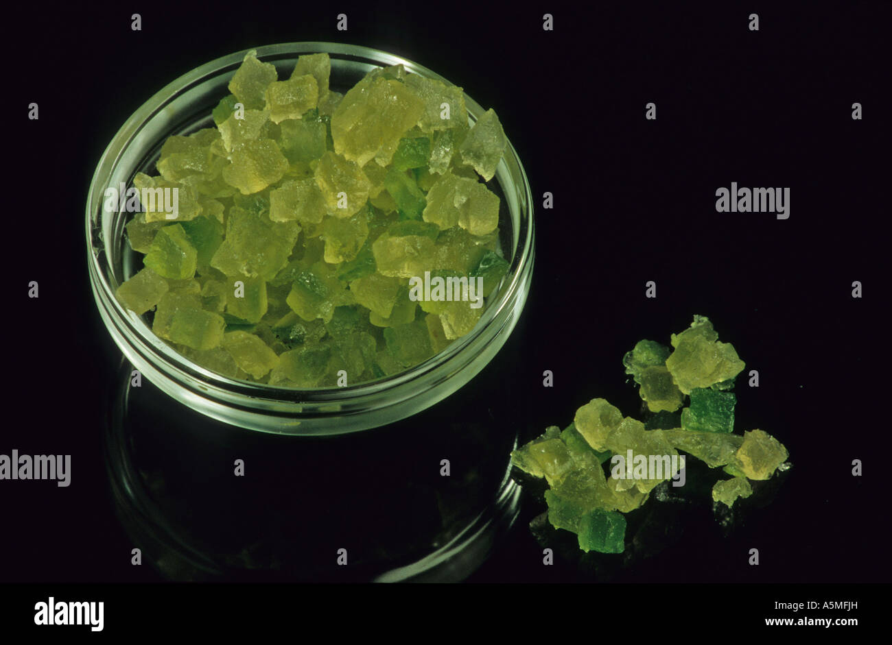 Zitronat kandierte Schale der Zitronatzitrone Zedratzitrone Citrus ...