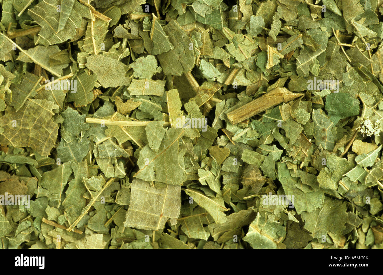 Walnuß Walnuss Blätter Getrocknet Geschnitten Leaves Dry Cutted Walnut